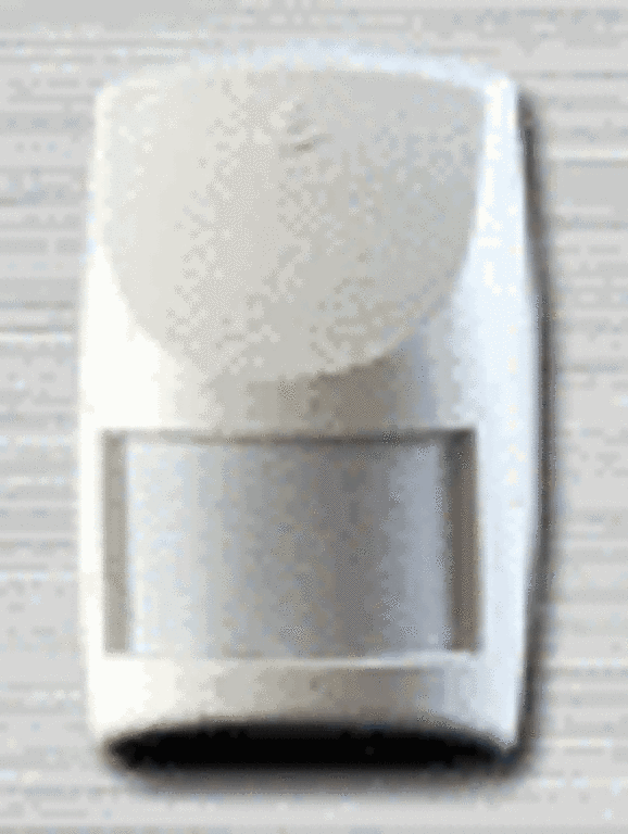 Carpenter & Sons, LTD.